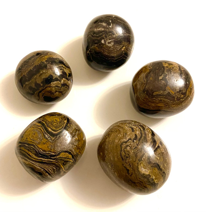 Stromatolith Trommelsteine :: Haus-der-steine